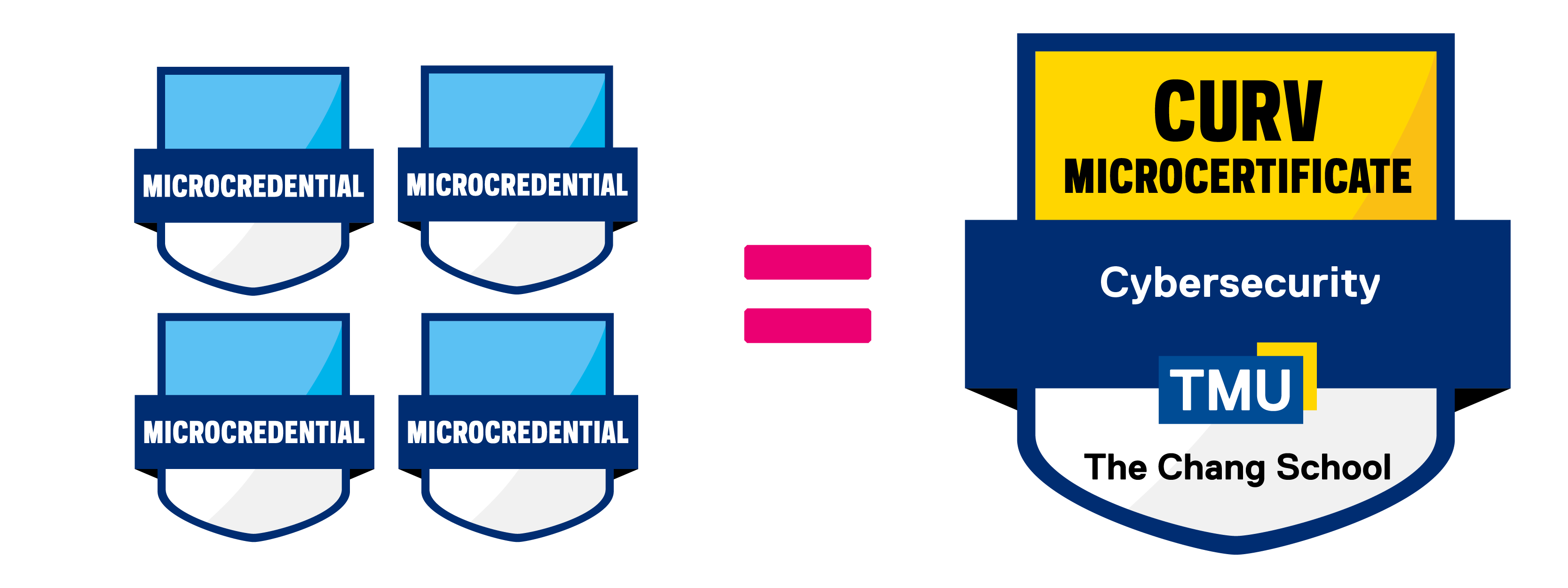 Curv Microcredentials | Cybersecurity | The Chang School of Continuing Education - Toronto ...
