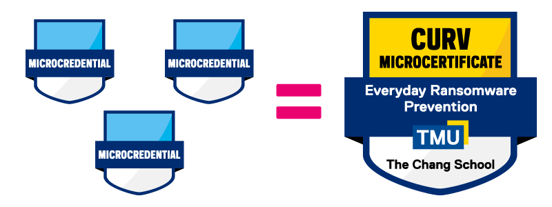 Everyday Ransomware Prevention | Curv Microcredentials | The Chang ...
